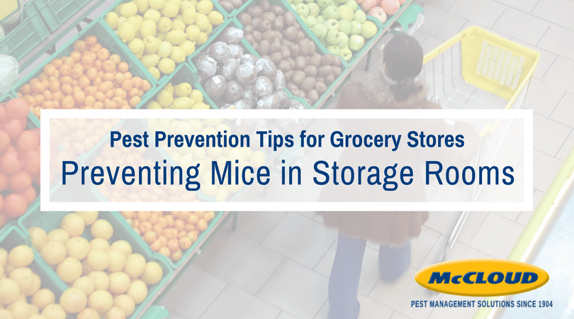 Preventing Mice in Storage Rooms - McCloud Pest Solutions